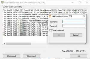 How to setup OpenVPN via HTTP Proxy | HideIPVPN