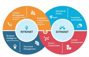 What is Intranet? Intranets vs Extranets [2022]